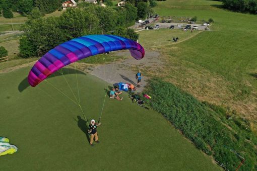 Paragliding Direct | BGD Seed | purchase online
